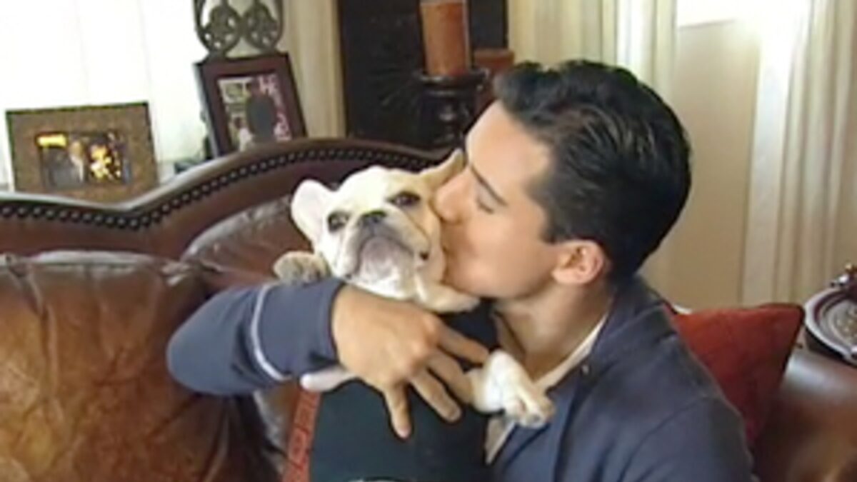 Meet Mario's New Pup, Julio!