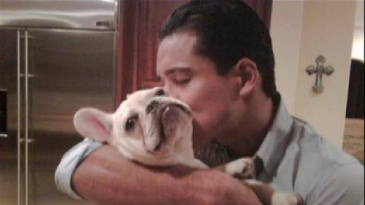 Meet Mario's new pup, Julio