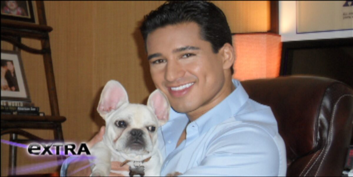 Meet Mario's new pup, Julio