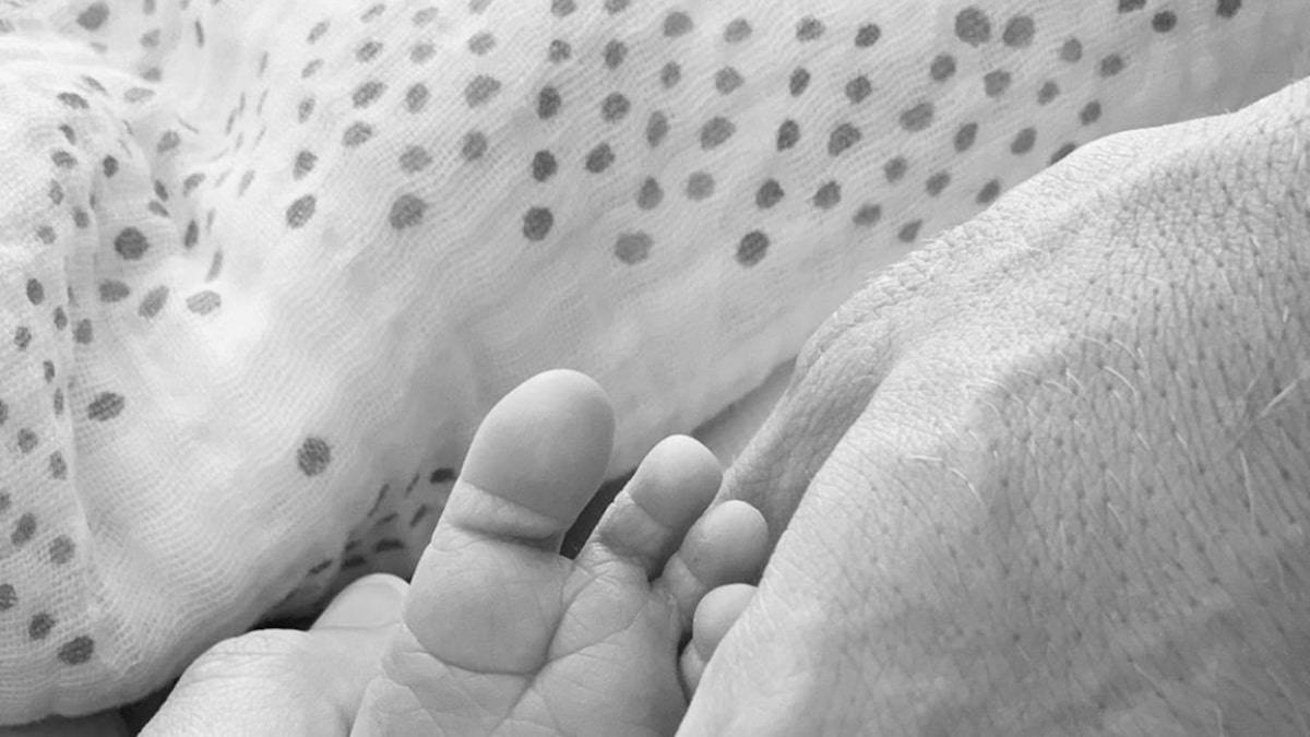 Quarantine Baby Boom! Star Pregnancy & Baby News